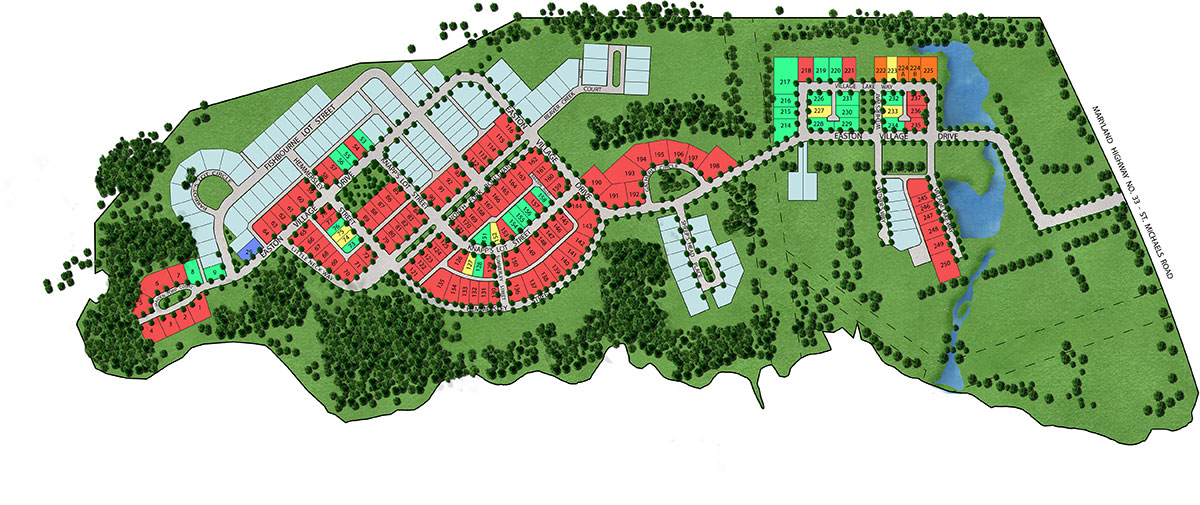 Site Plans - Artistic Visions